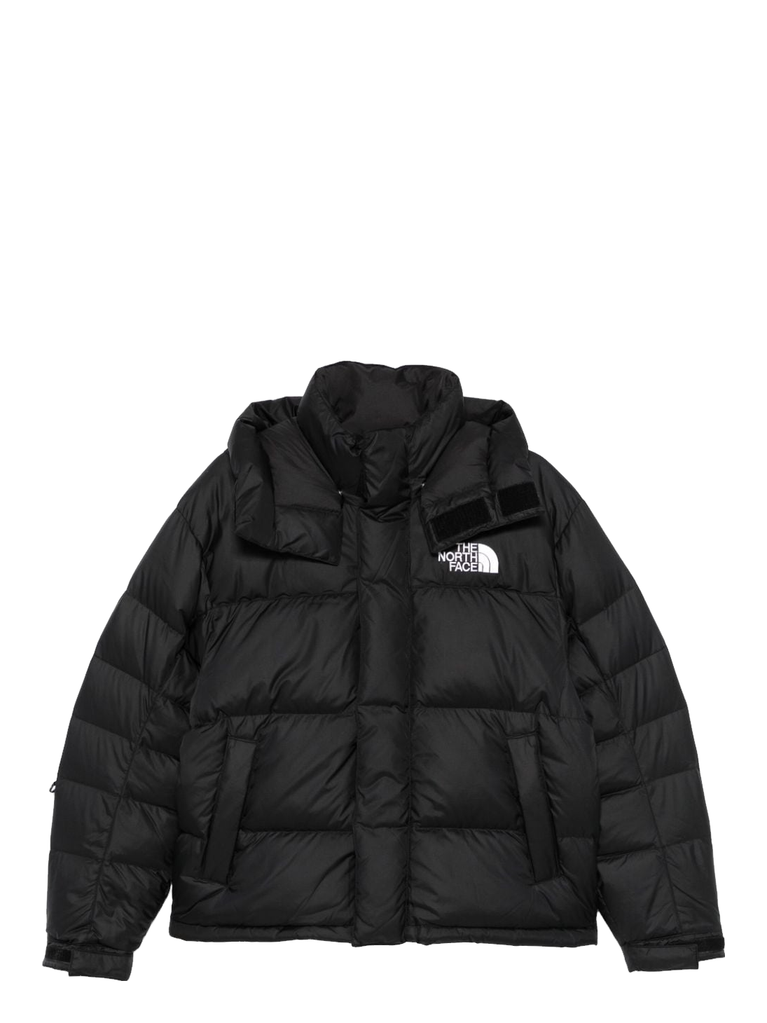 THE NORTH FACE The North Face Down Hooded Jacket