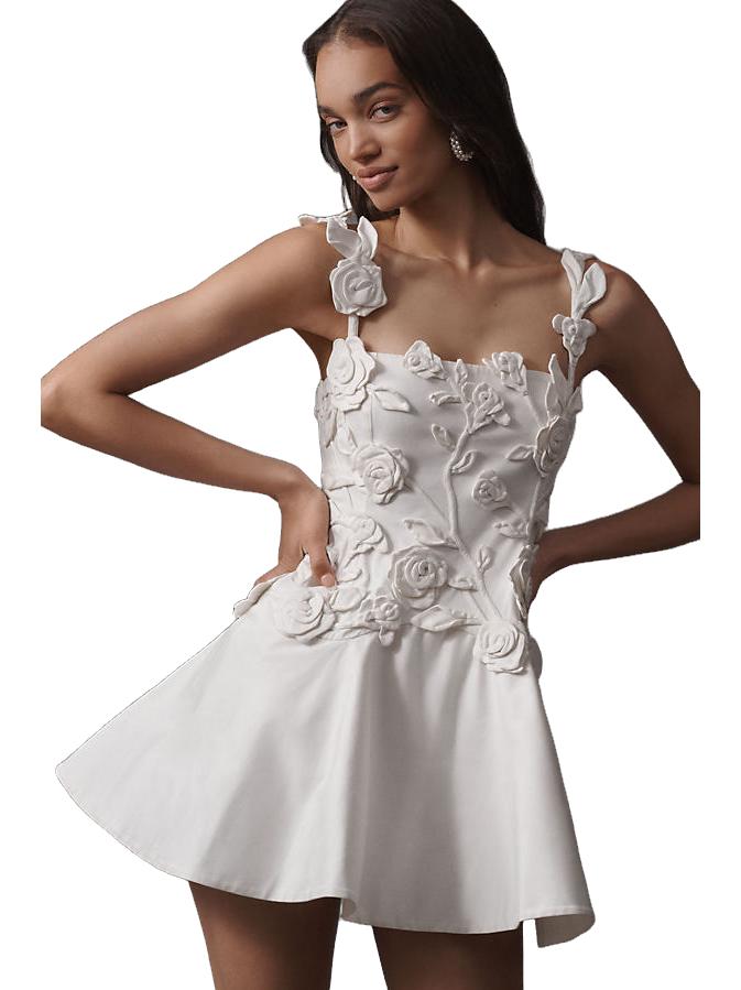Bhldn Floral Appliqu Fit-and-flare Mini Dress - Ivory