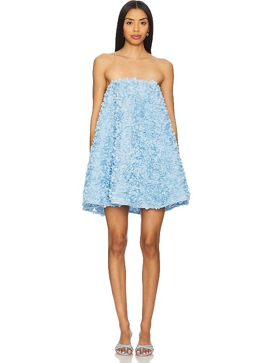 ELLIATT ELLIATT Kaia Trapeze Mini Dress