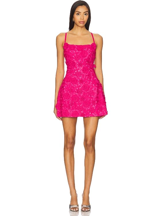 ELLIATT ELLIATT Claudia Party Mini Dress with Floral Embroidery
