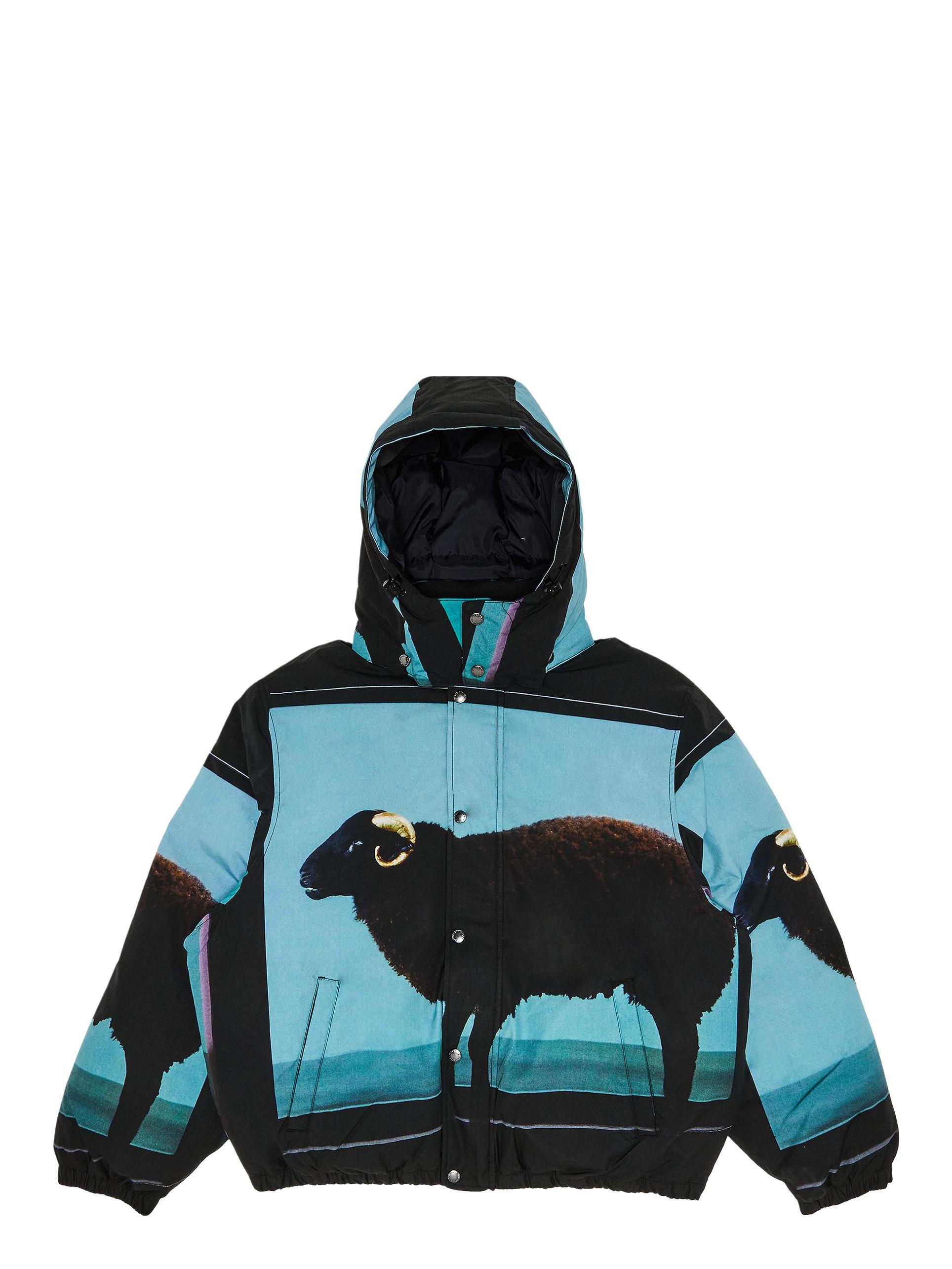 Supreme X Damien Hirst Down Puffer Jacket - Black | Editorialist