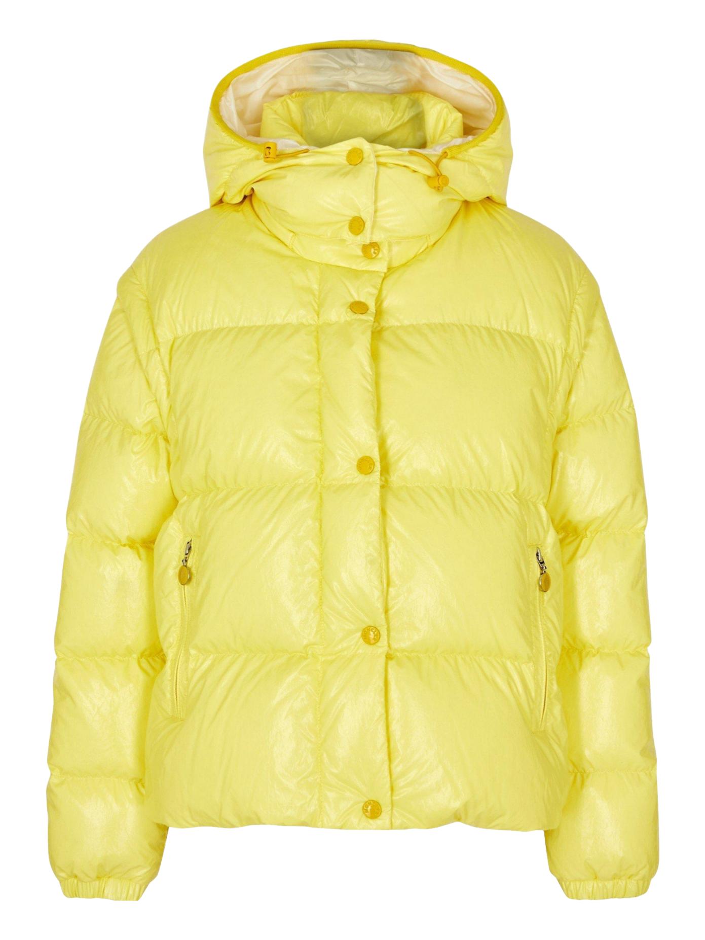 MONCLER Cotton Short Puffer Jacket