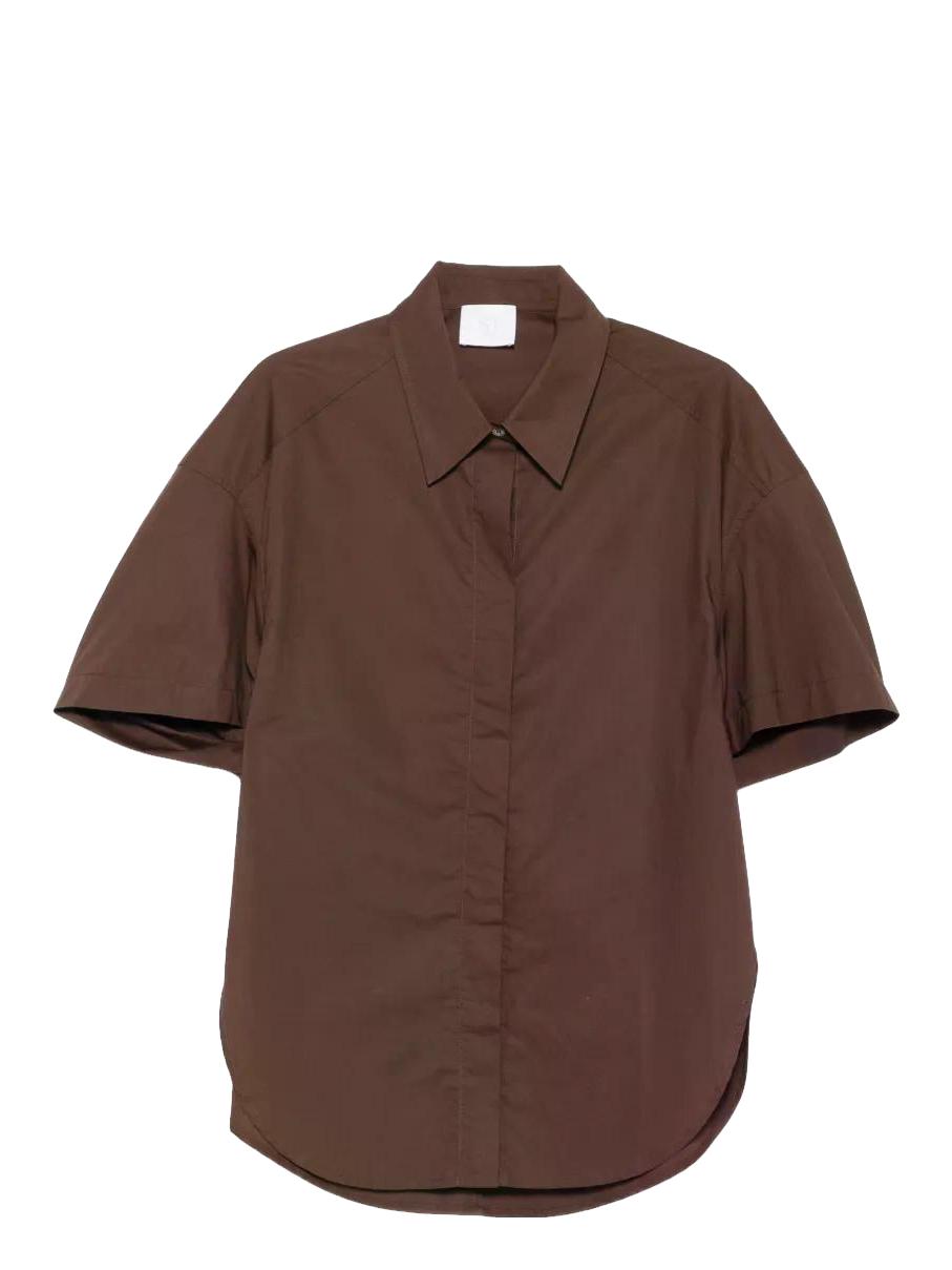 MAX MARA Medeola Pleated Cotton-Blend Shorts
