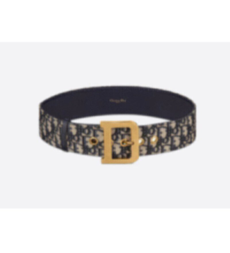 dior quake belt