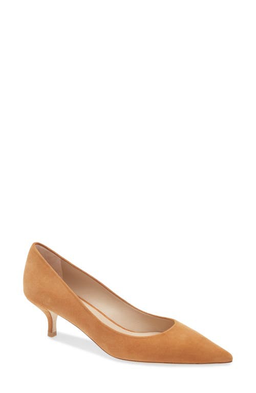 Stuart Weitzman Pointed Toe Kitten Heel Pumps - Hazel | Editorialist