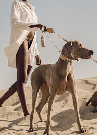 This Ultra-Luxury Pet Fashion House Hopes You Pass Down Dog Collars Like Birkin Bags