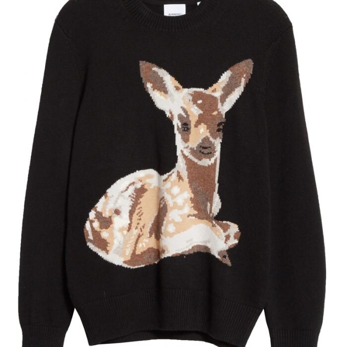 15 Best Graphic Sweaters That Make a Statement: Printed Sweatshirts