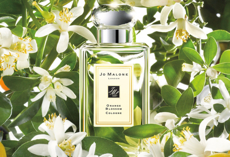 10 Best Orange Blossom Perfumes Sweet & Floral Orange Blossom Fragrance