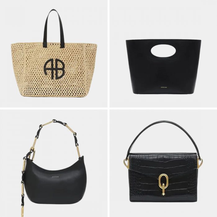 6 Best Anine Bing Bags that are Minimalist & Versatile