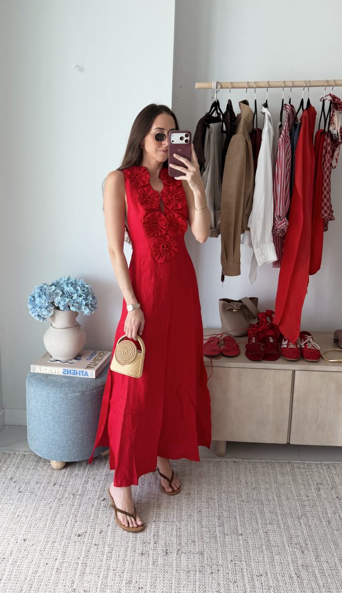 belt for red dress Strawberry Print Retro Swing Dress
