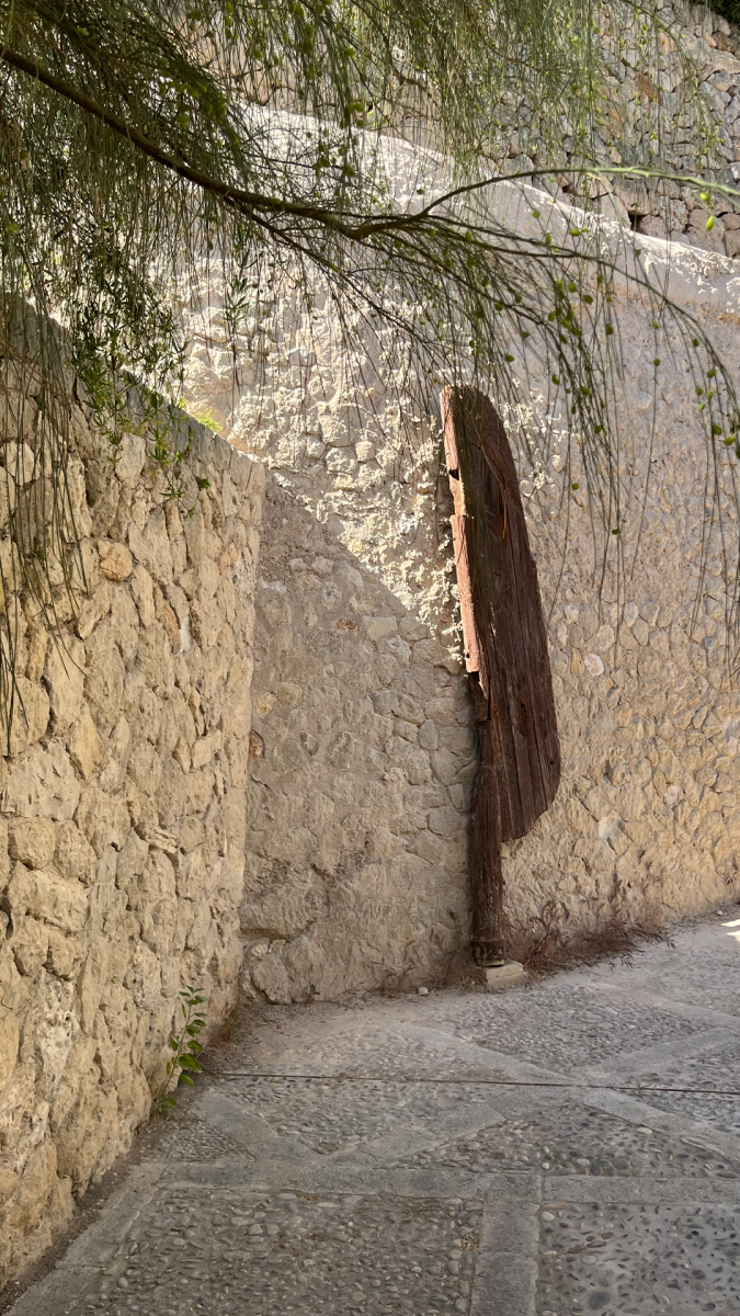 _0015_Miro-3 (1)