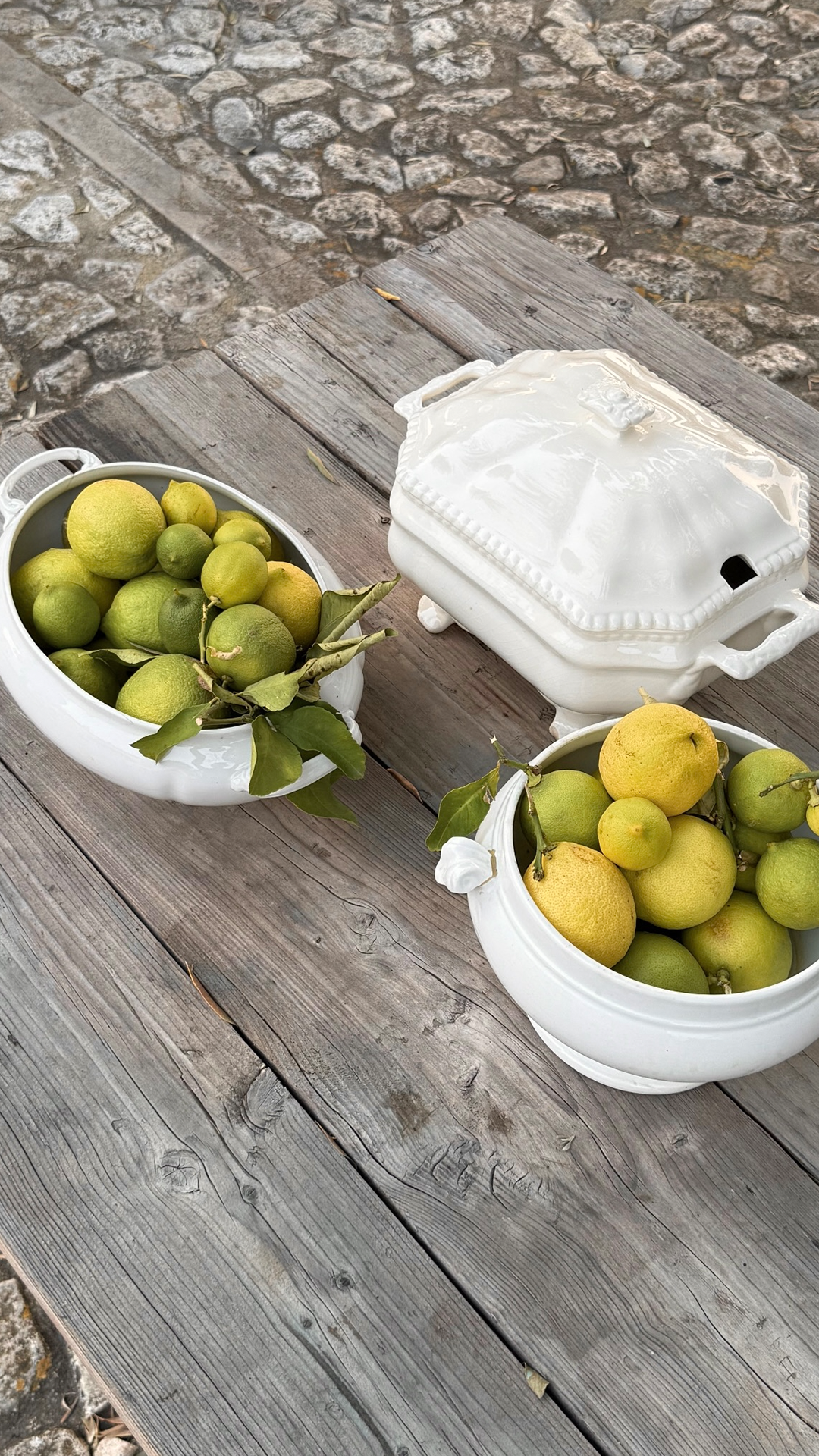 _0024_Fruit-Basket-