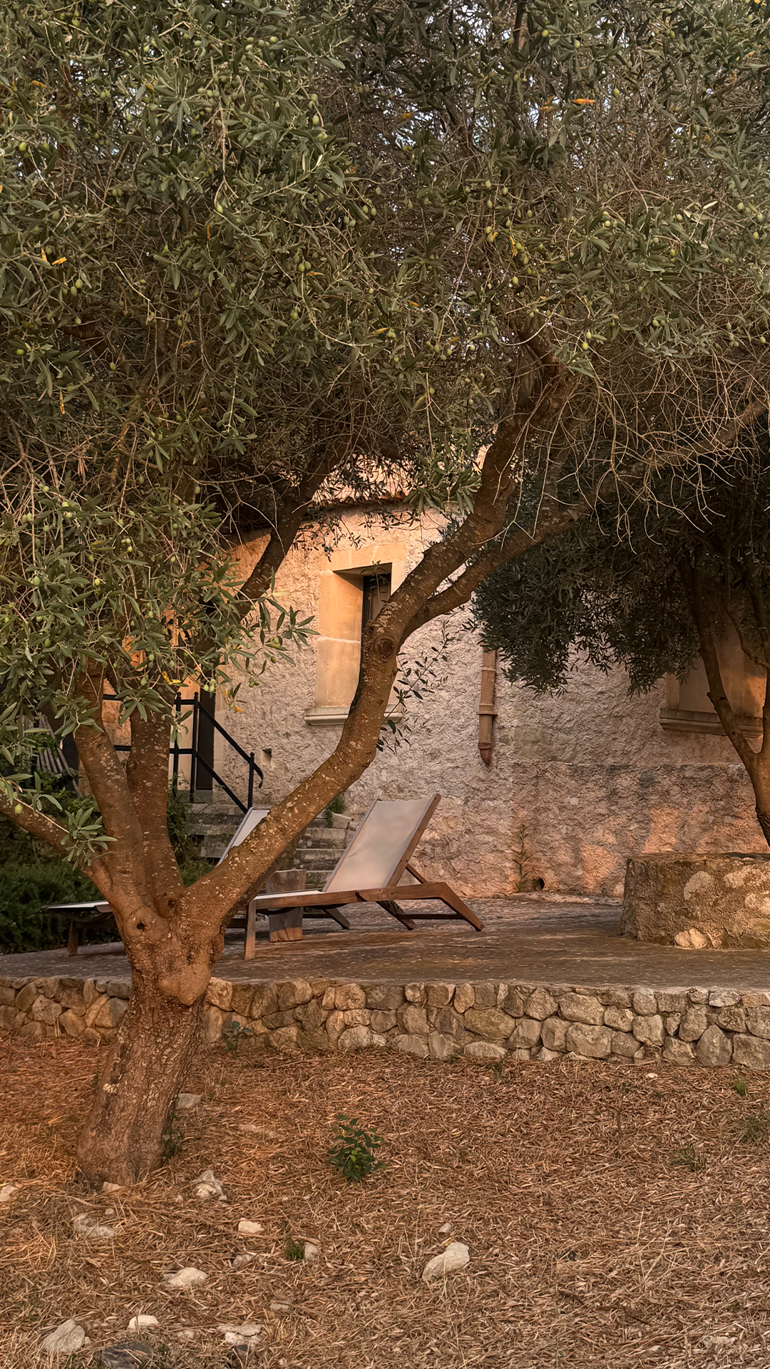 _0026_Finca-Sunset-