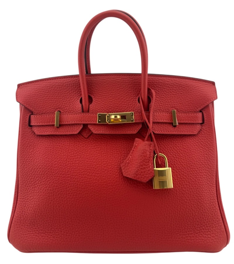 Hermes - Togo Birkin 25 Rouge Pivione