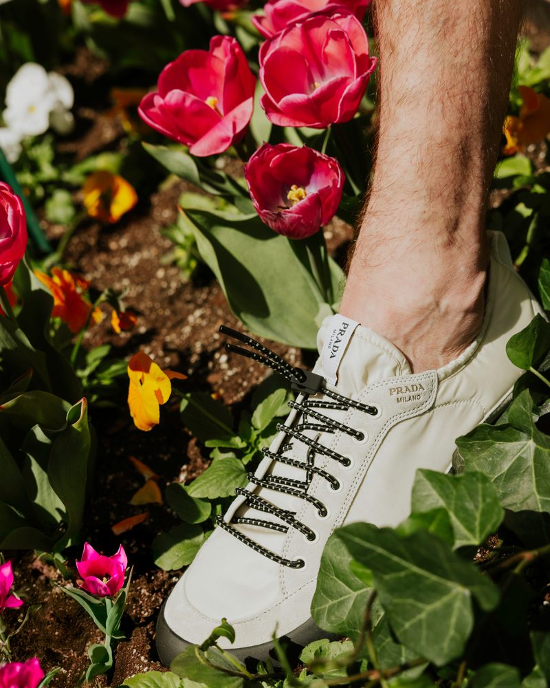 A person wearing a white Prada sneaker with black laces stands on soil among pink tulips and green foliage in a garden.