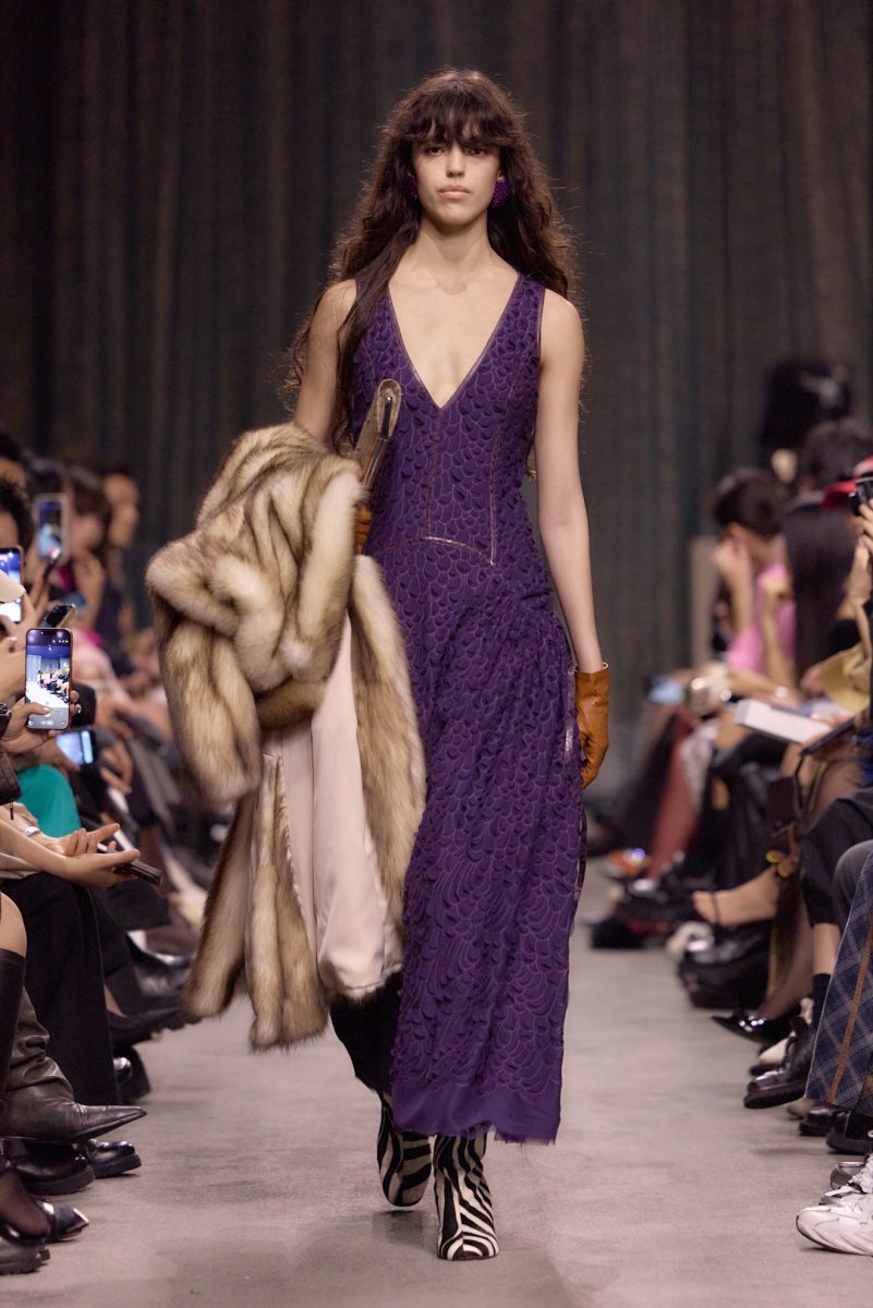 Fall Color Trends