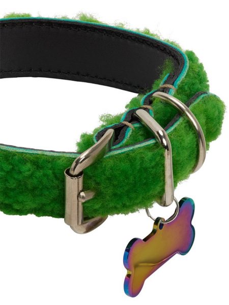 designer pet collar
